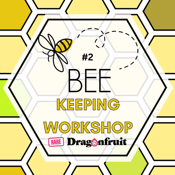 WORKSHOP 2: BEEKEEPING Dive into a hive - Rare Dragon Fruit