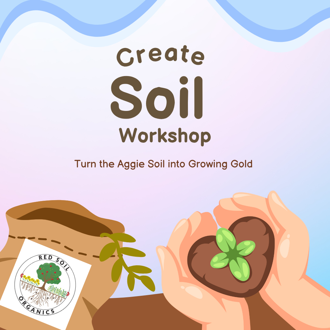 Red Soil Organics - Creating Soil Workshop - Rare Dragon Fruit