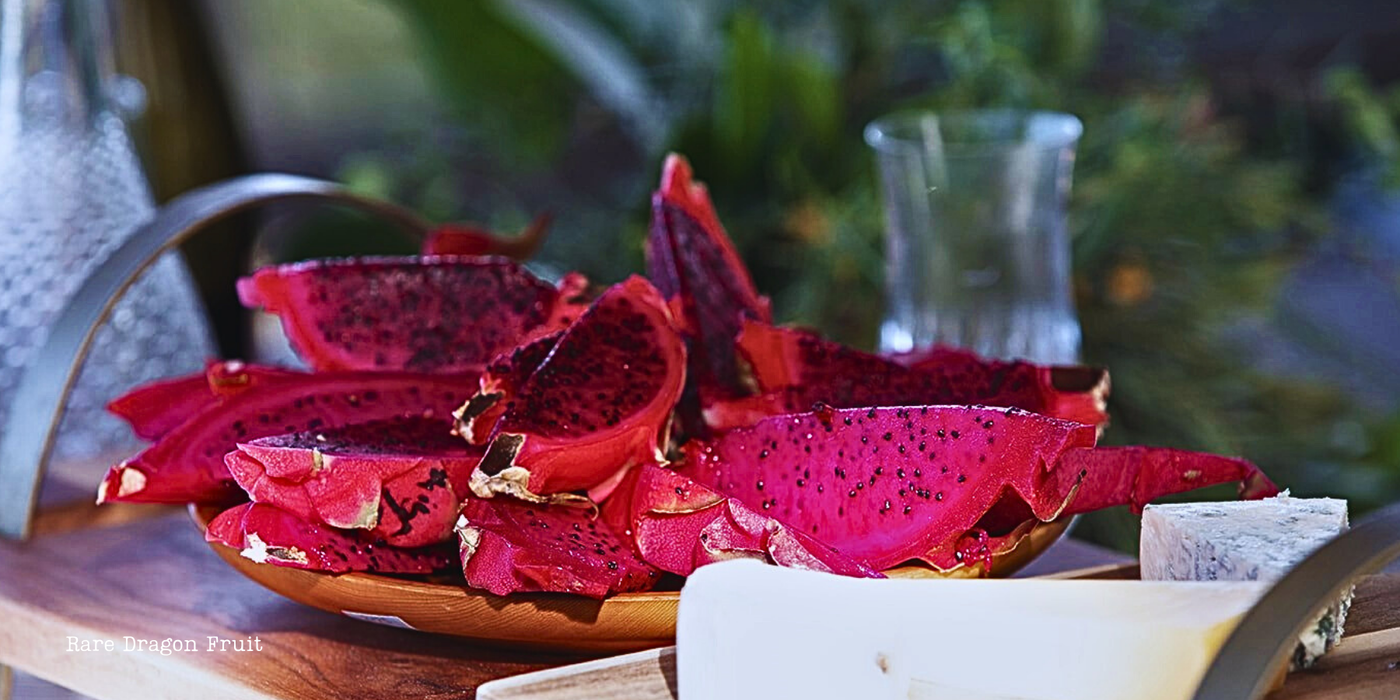 Dragon Fruit | Premium Dragon Fruit Plants & Tropical Fruit Trees Aus