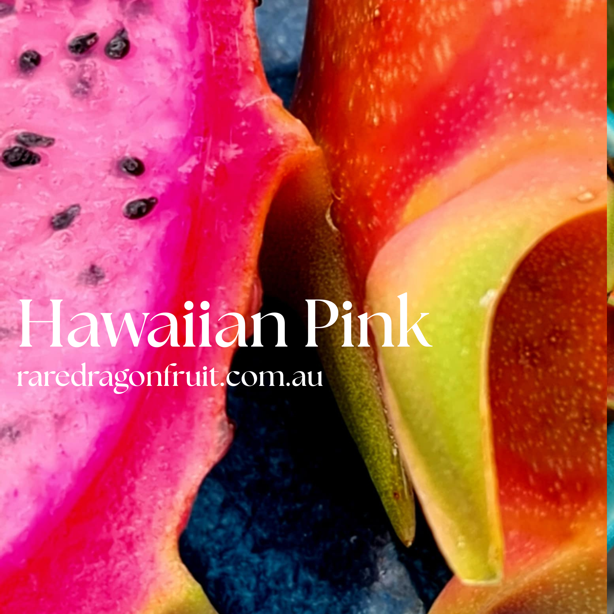 pink dragon fruit inside