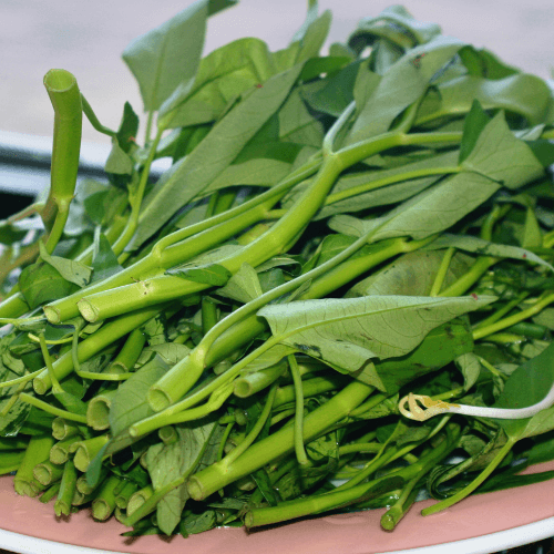 Kangkong, water spinach - Ipomea aquatica - Rare Dragon Fruit