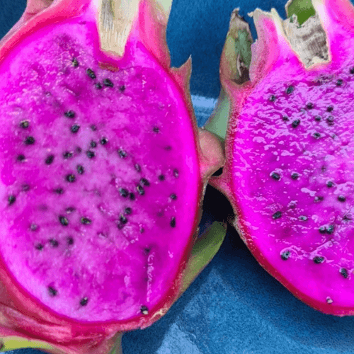 Purple Dragon Fruit
