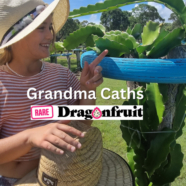 Grandma Cath's Dragon Fruit NOID - Rare Dragon Fruit