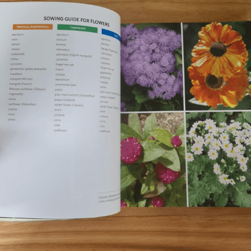 Yates Month by Month- By: Judy Horton, Yates - Rare Dragon Fruit